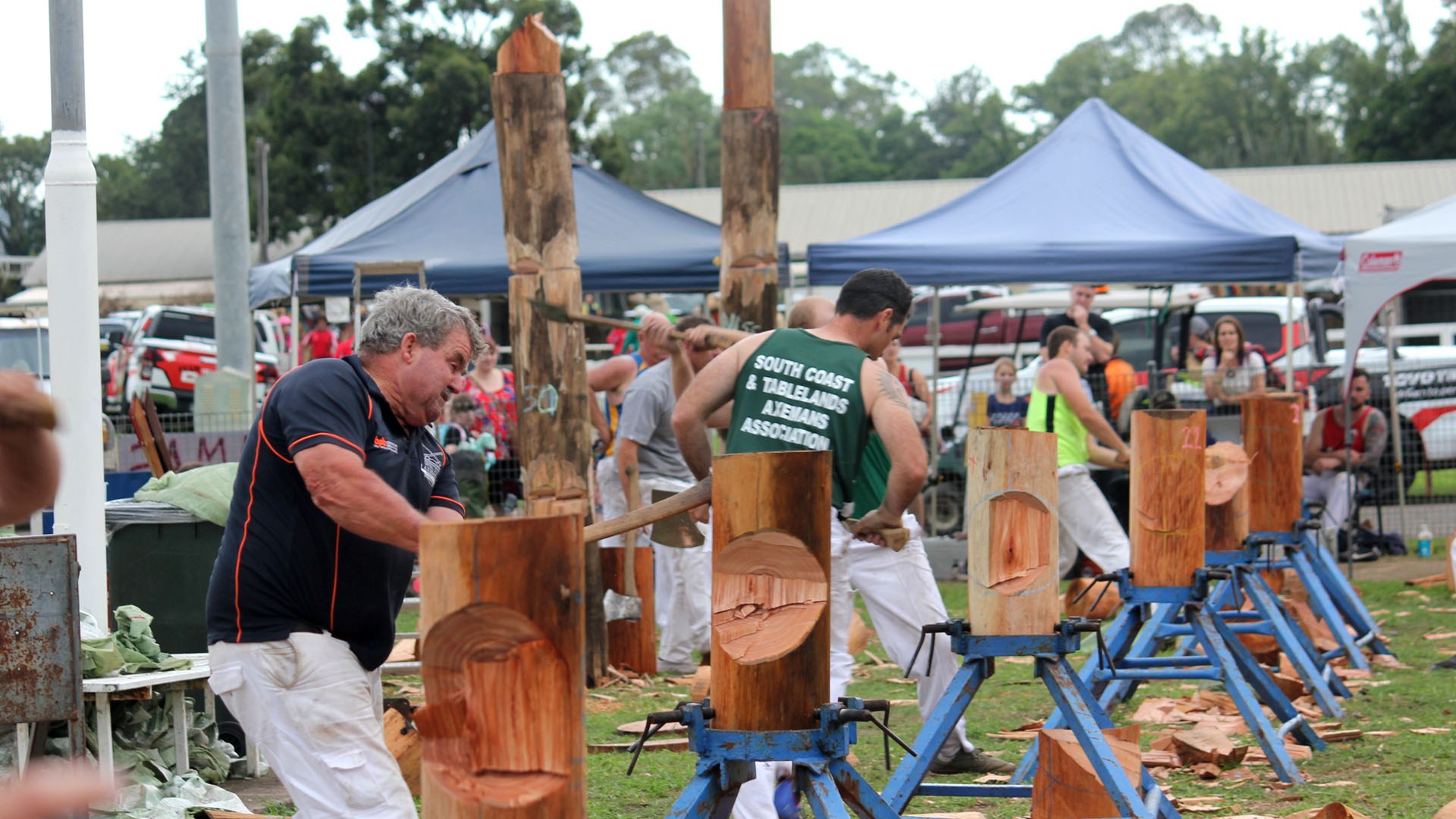 Maitland Showground | Events, Markets, Camping
