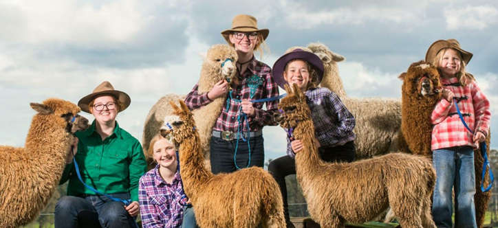 Competitions – Maitland Showground | Events, Markets, Camping